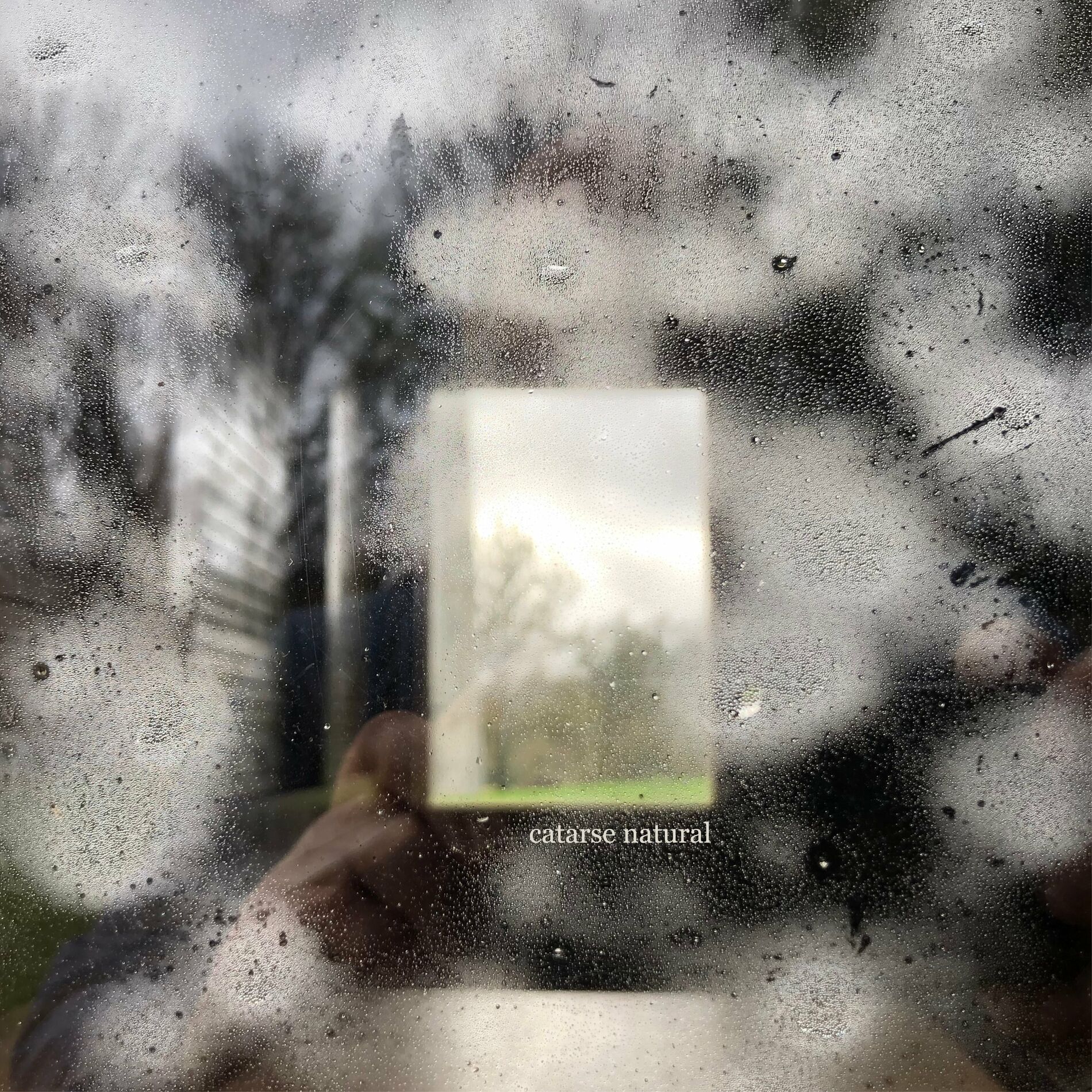 Homem em Catarse – Catarse Natural (2024) | Altamont